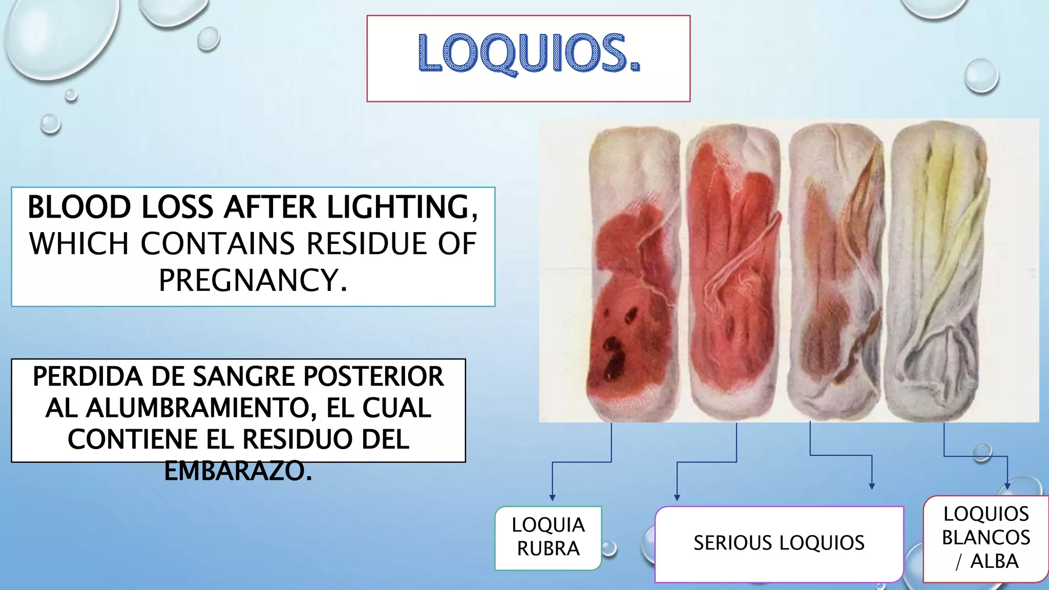 CUIDADOS DE ENFERMERIA EN PUERPERIO | PPTX | Pregnancy | Reproductive ...