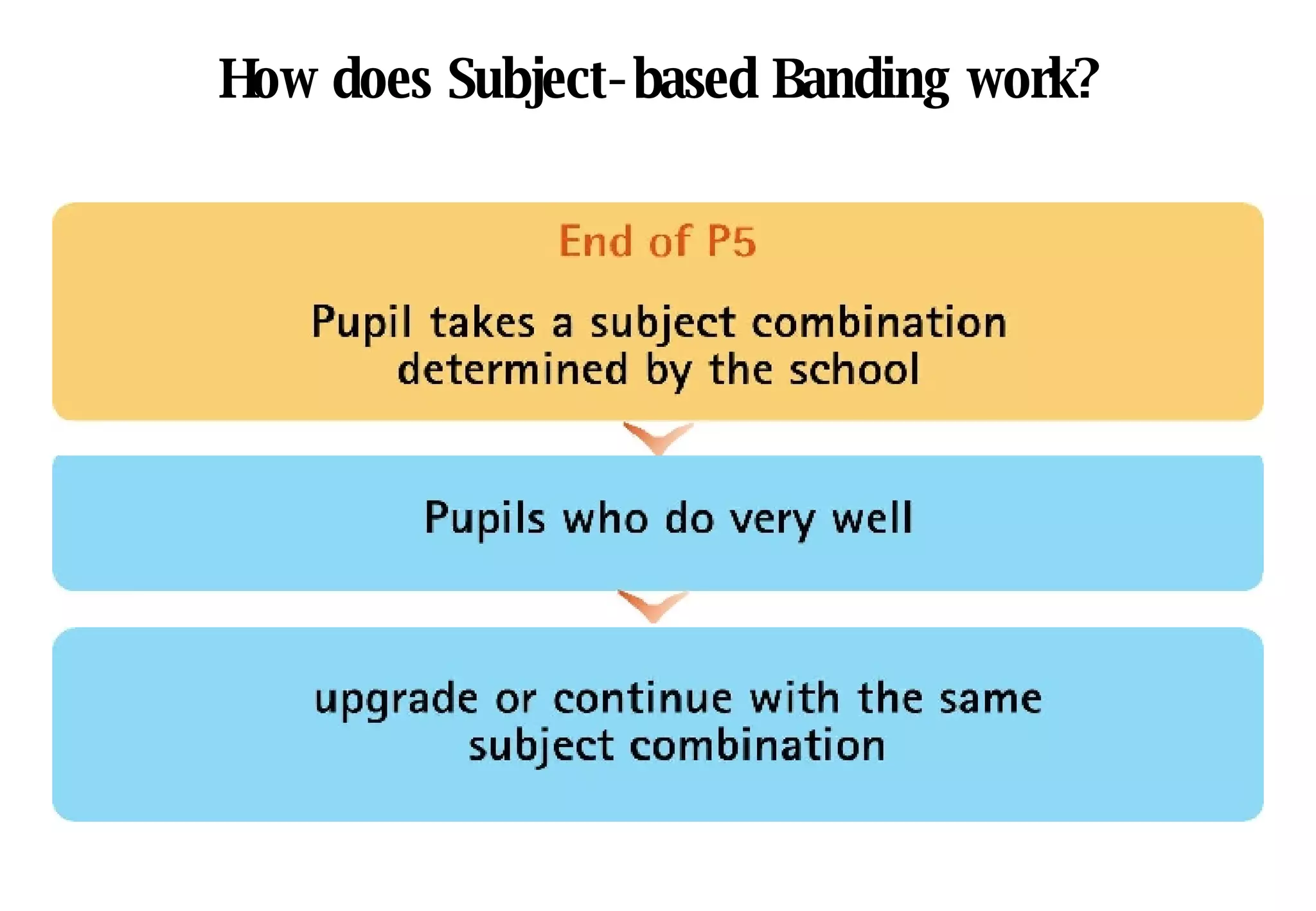 Subject Based Banding - Bukit Panjang Pri Mathematics Curriculum | PPT