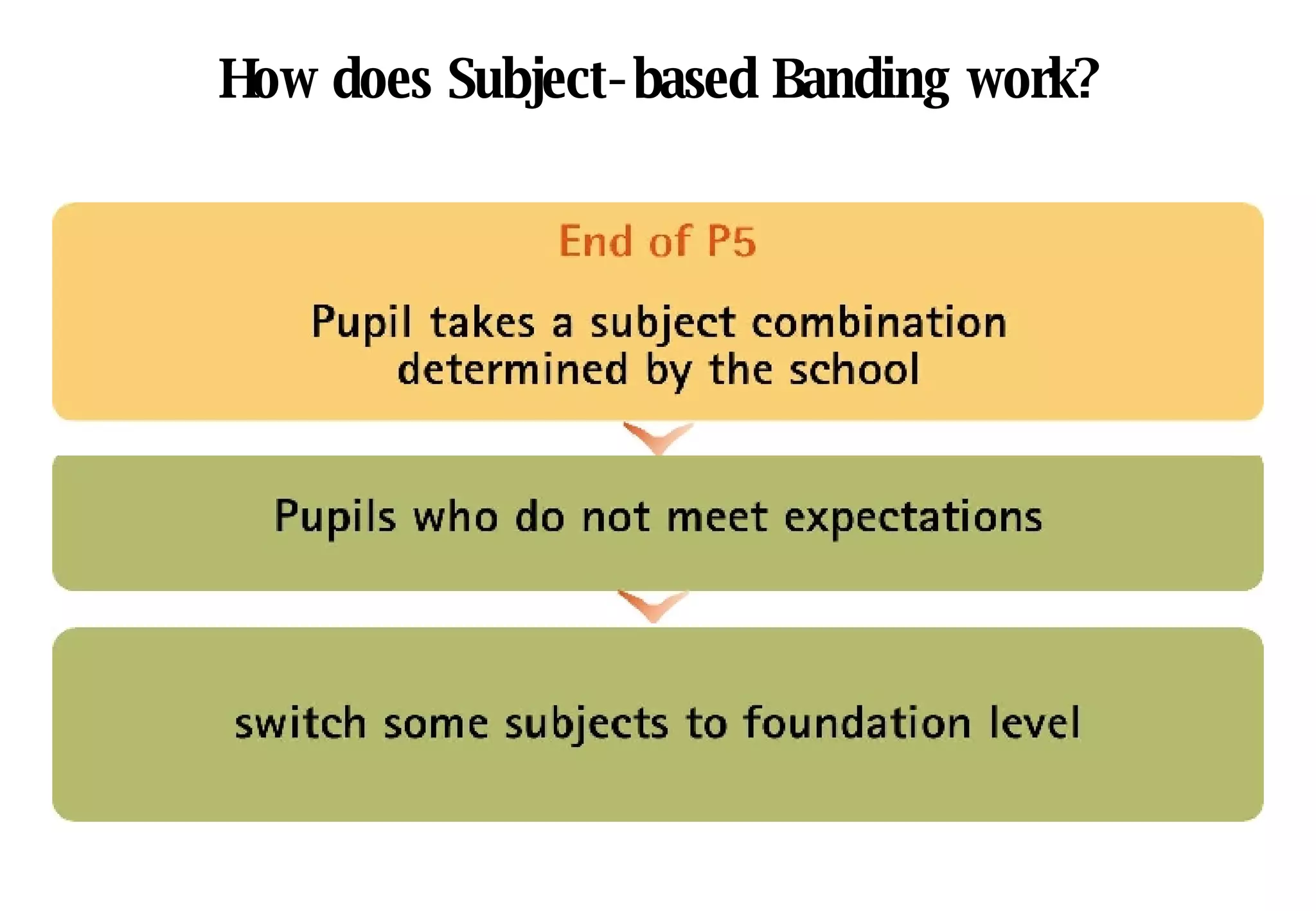 Subject Based Banding - Bukit Panjang Pri Mathematics Curriculum | PPT