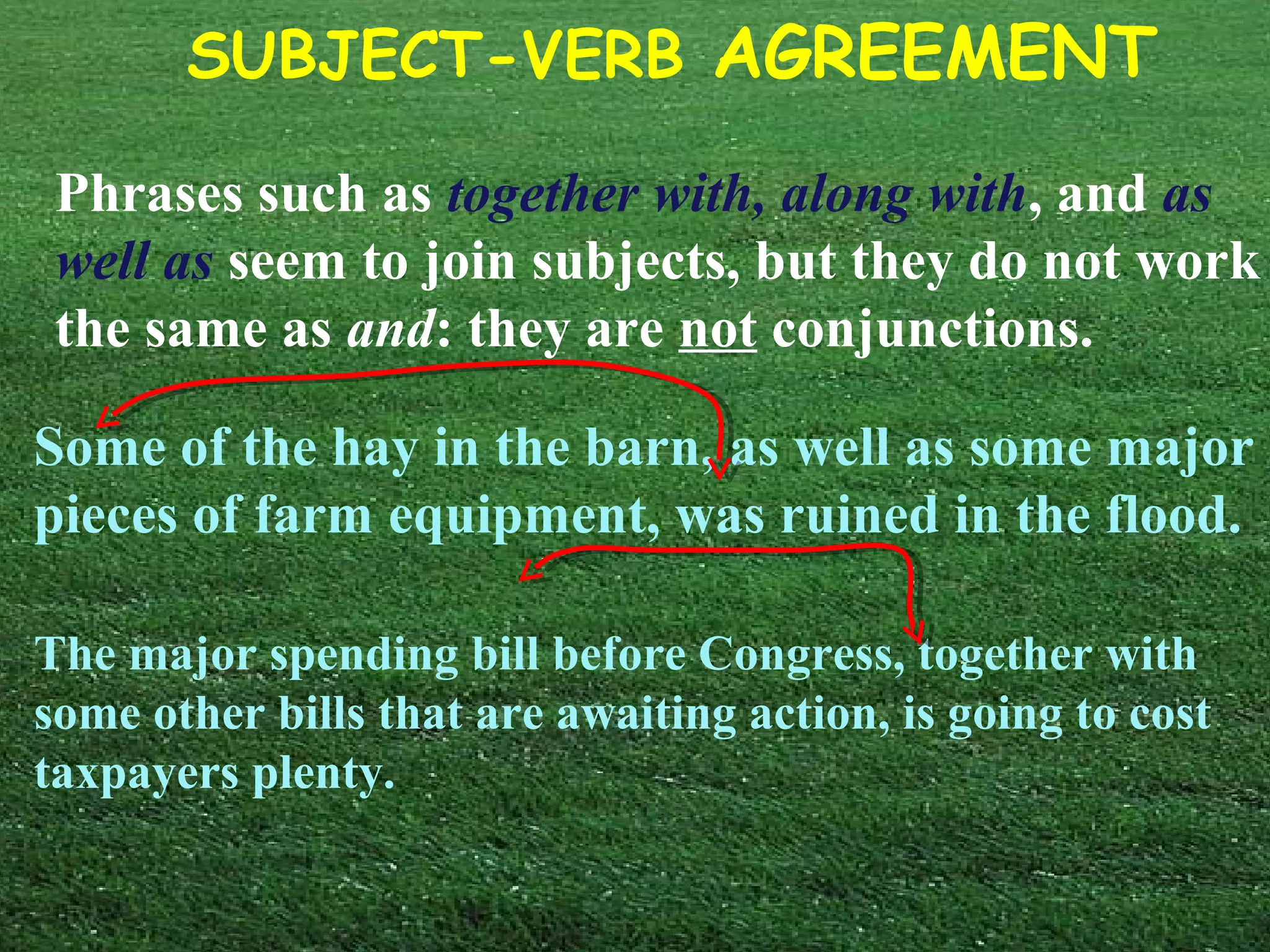 Subject verb agreement | PPT