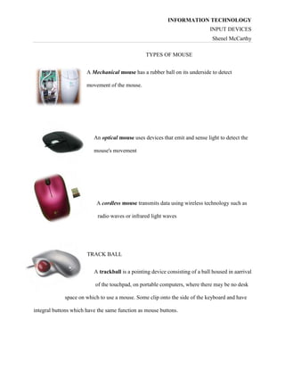 Input Devices | DOCX | Computer Peripherals | Computing