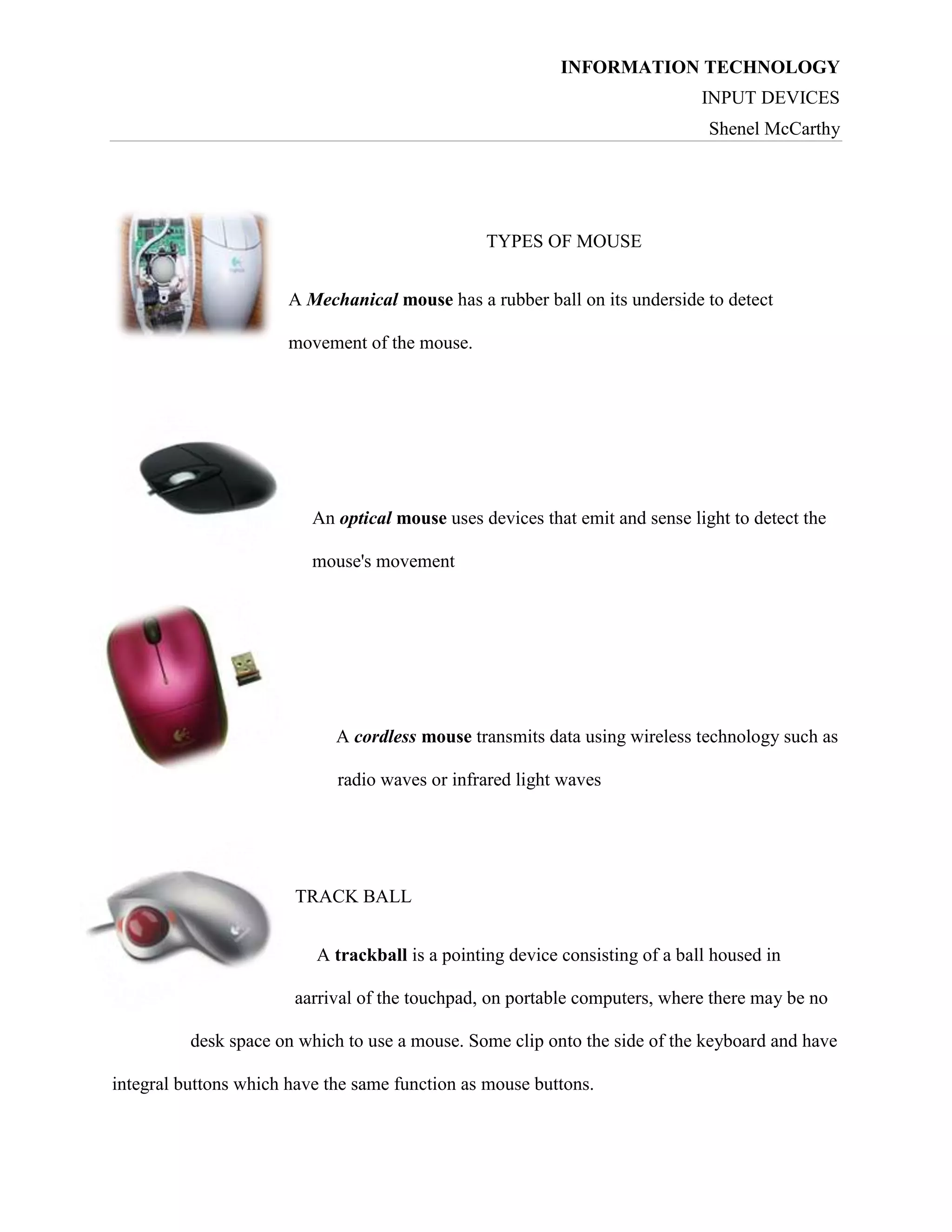 input Devices | DOCX