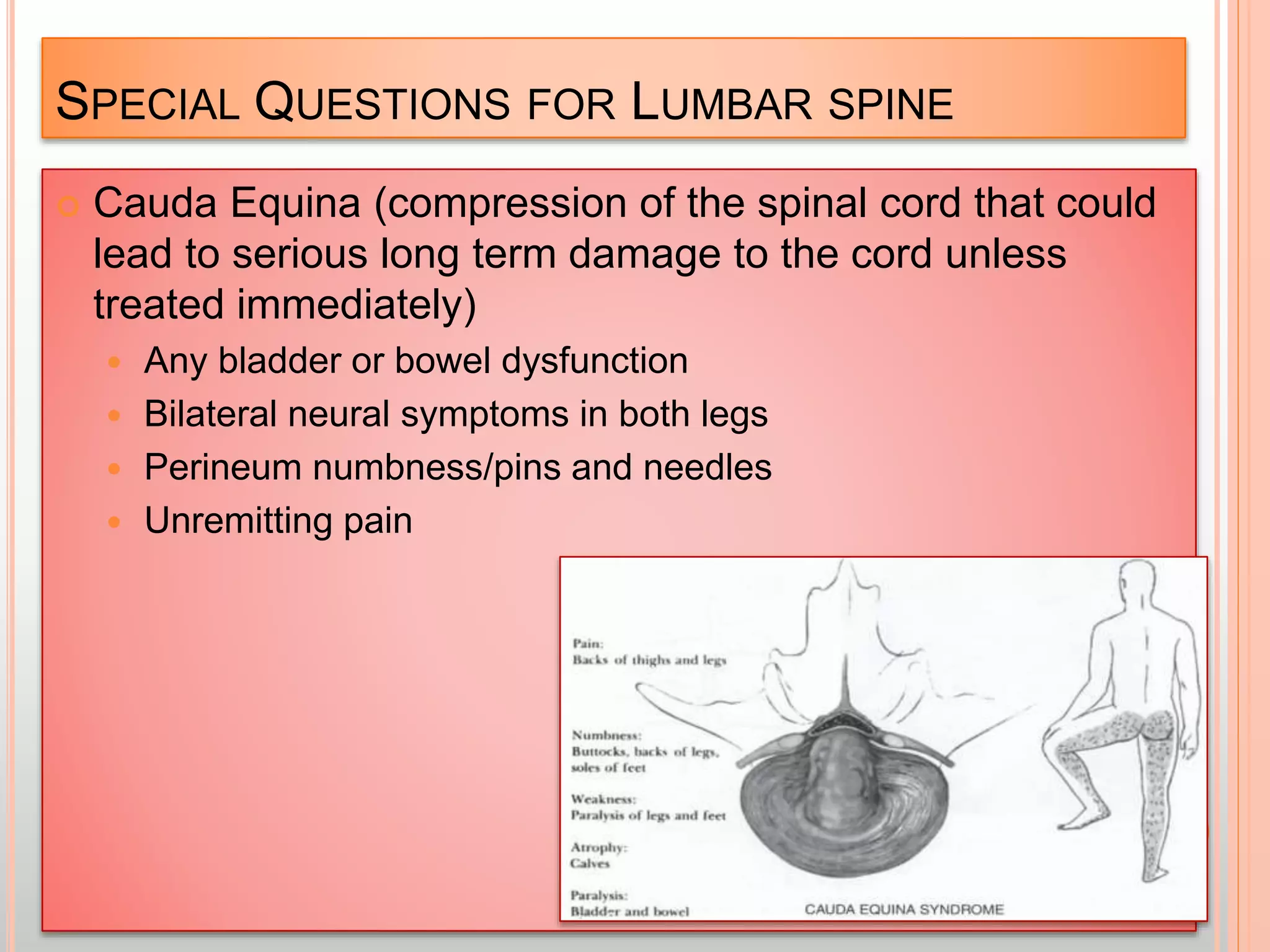 Subjective examination lumbar spine | PPTX