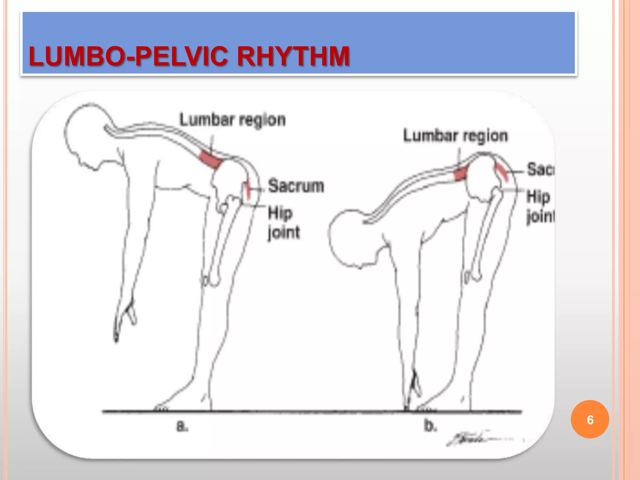 Subjective examination lumbar spine | PPTX
