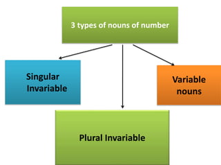 Subject verb agreement | PPTX
