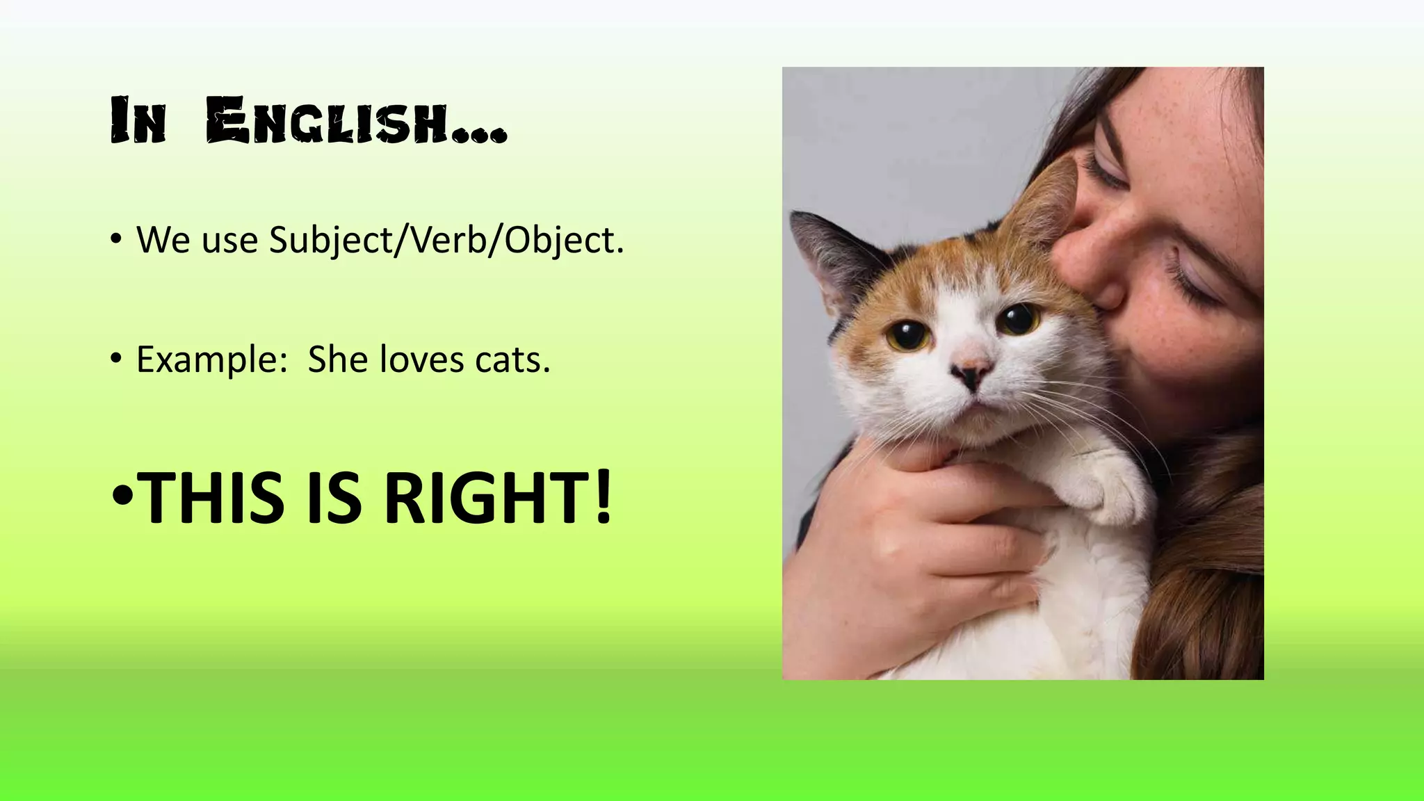 Subject Verb Object Lesson | PPTX