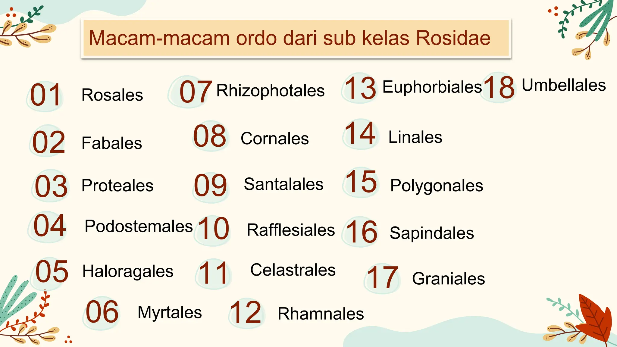 klasifikasi makhluk hidup_sub kelas rosidae | PPTX