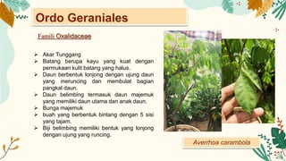 klasifikasi makhluk hidup_sub kelas rosidae | PPTX