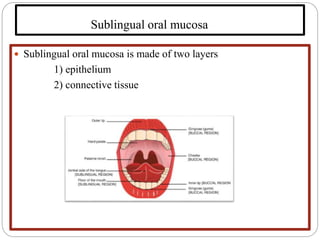 Sublingual drug deliery system | PPTX