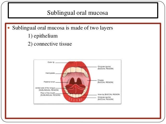 Sublingual drug deliery system