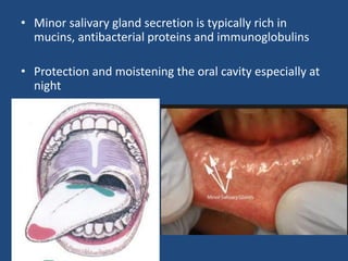 SUBLINGUAL SALIVARY GLANDS.pptx