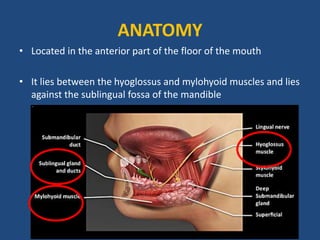 SUBLINGUAL SALIVARY GLANDS.pptx