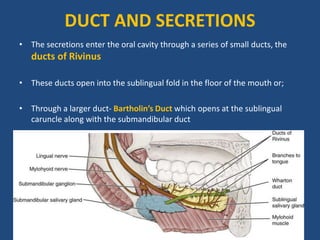 SUBLINGUAL SALIVARY GLANDS.pptx