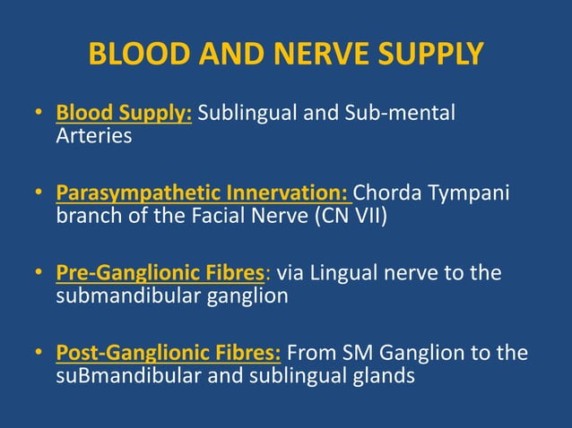 SUBLINGUAL SALIVARY GLANDS.pptx | Ear, Nose and Throat Conditions ...