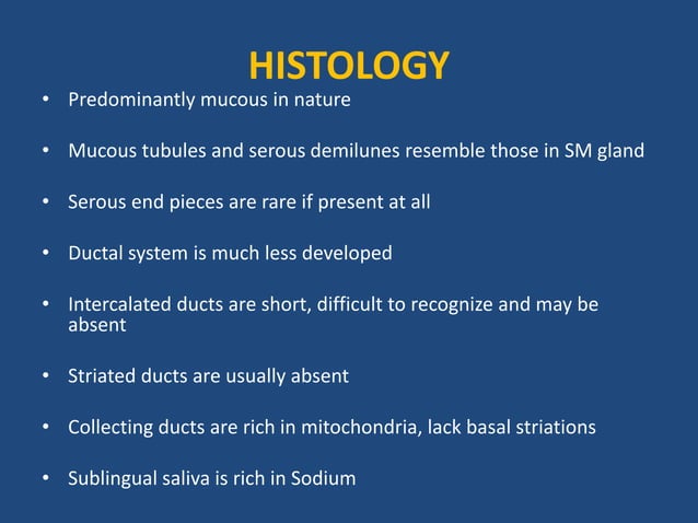 SUBLINGUAL SALIVARY GLANDS.pptx | Ear, Nose and Throat Conditions ...