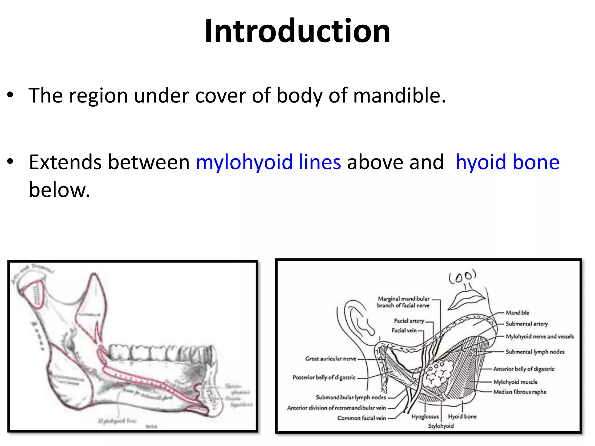 The Submandibular Region Pptx- Muhadharaty