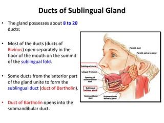 SUBMANDIBULAR-REGION.pdf