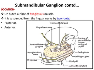SUBMANDIBULAR-REGION.pdf