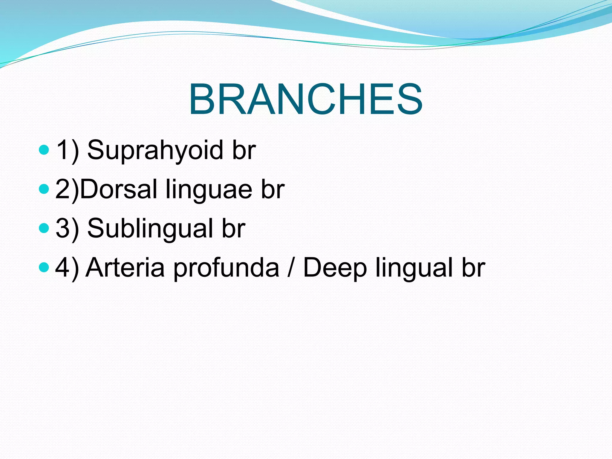 SUBMANDIBULAR GANGLION LINGUAL ARTERY.pptx