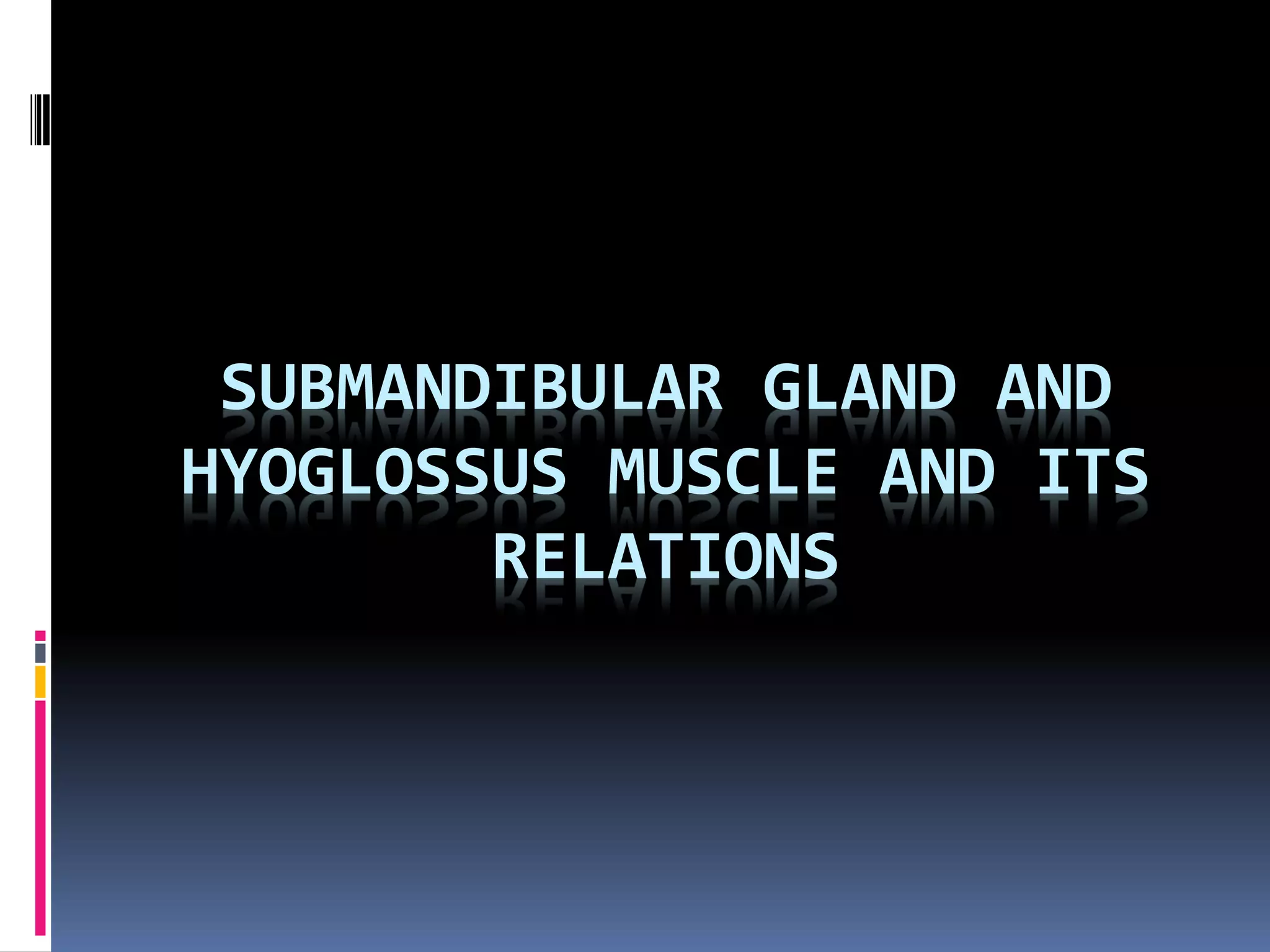 Submandibular gland and hyoglossus muscle and its relations | PDF