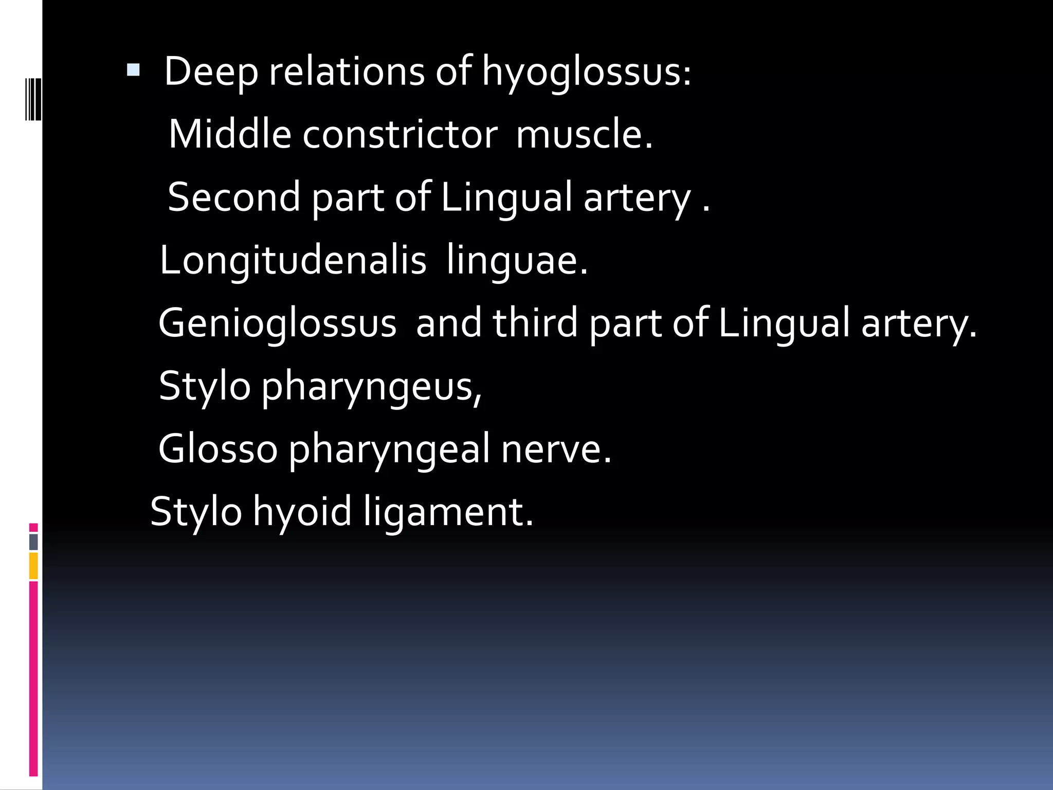 Submandibular gland and hyoglossus muscle and its relations | PDF