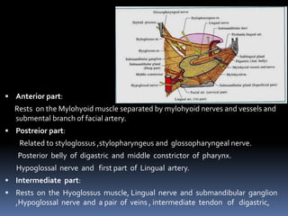 Submandibular gland and hyoglossus muscle and its relations | PDF