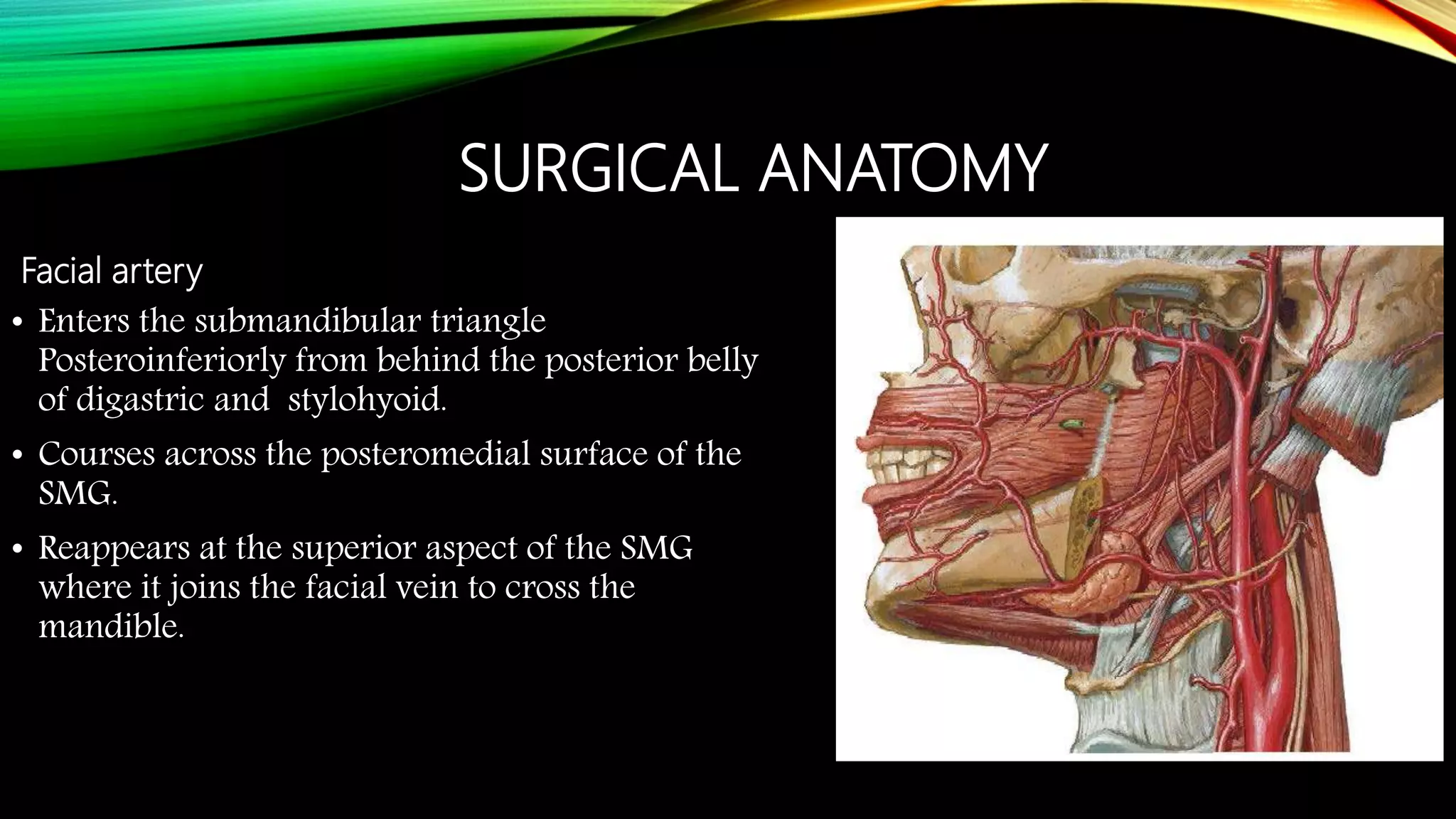 Submandibular gland excision | PPTX