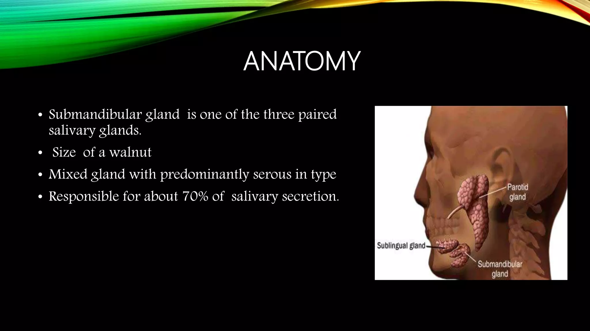 Submandibular gland excision | PPTX
