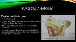 Submandibular gland excision | PPTX