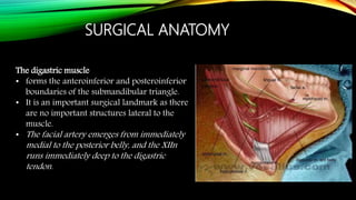 Submandibular Duct Dissection