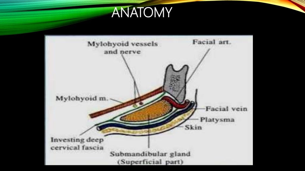 Submandibular gland excision