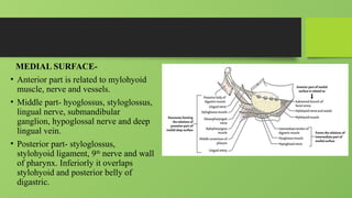 Submandibular gland with applied aspects.pptx