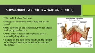 Submandibular gland with applied aspects.pptx