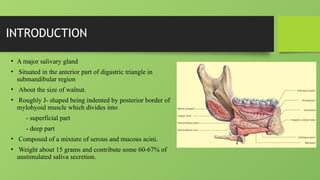 Submandibular gland with applied aspects.pptx