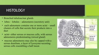 Submandibular gland with applied aspects.pptx