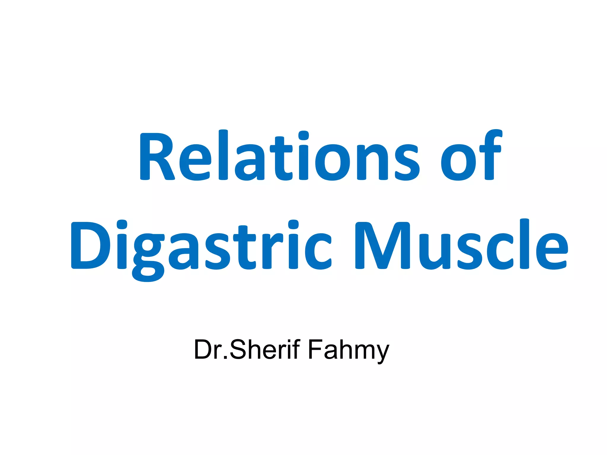 Submandibular Region (Anatomy of the Neck) | PPS