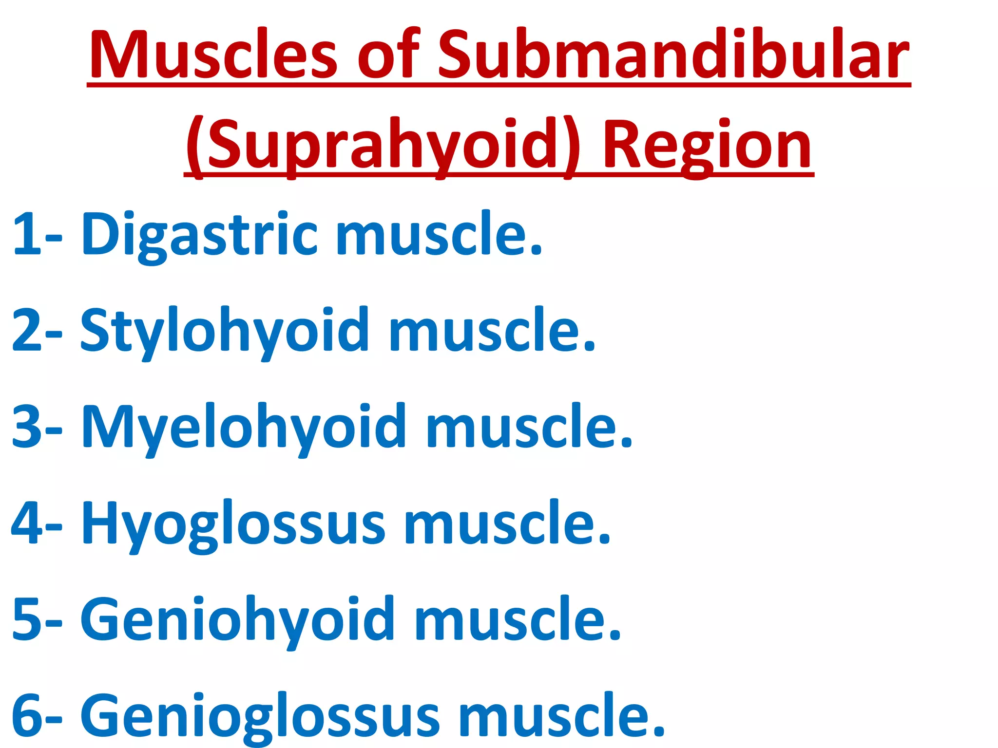 Submandibular Region (Anatomy of the Neck) | PPS