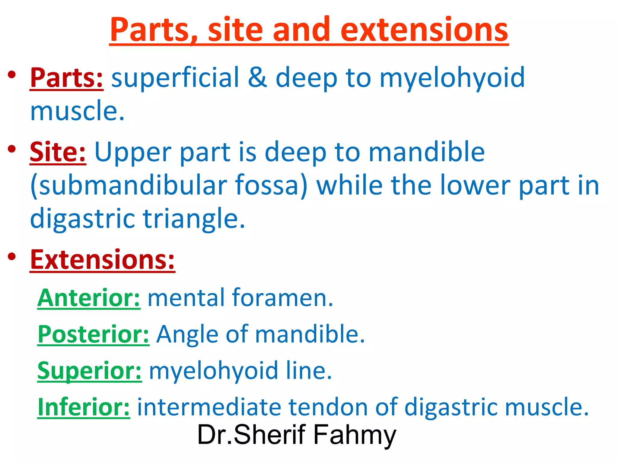 Submandibular Region (Anatomy of the Neck) | PPS