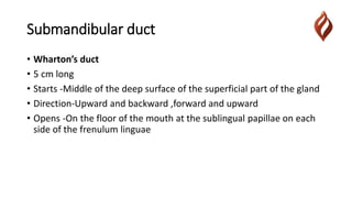 Submandibular region and suprahyoid muscles.pptx
