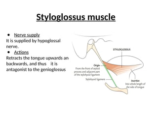 Submandibular region seminar anatomy rmlims | PPTX