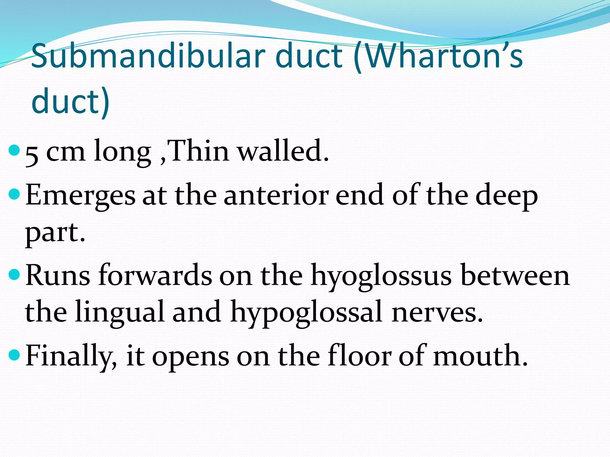 Submandibular salivary gland | PPTX