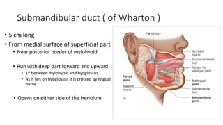 Submandibular salivary gland .pptx
