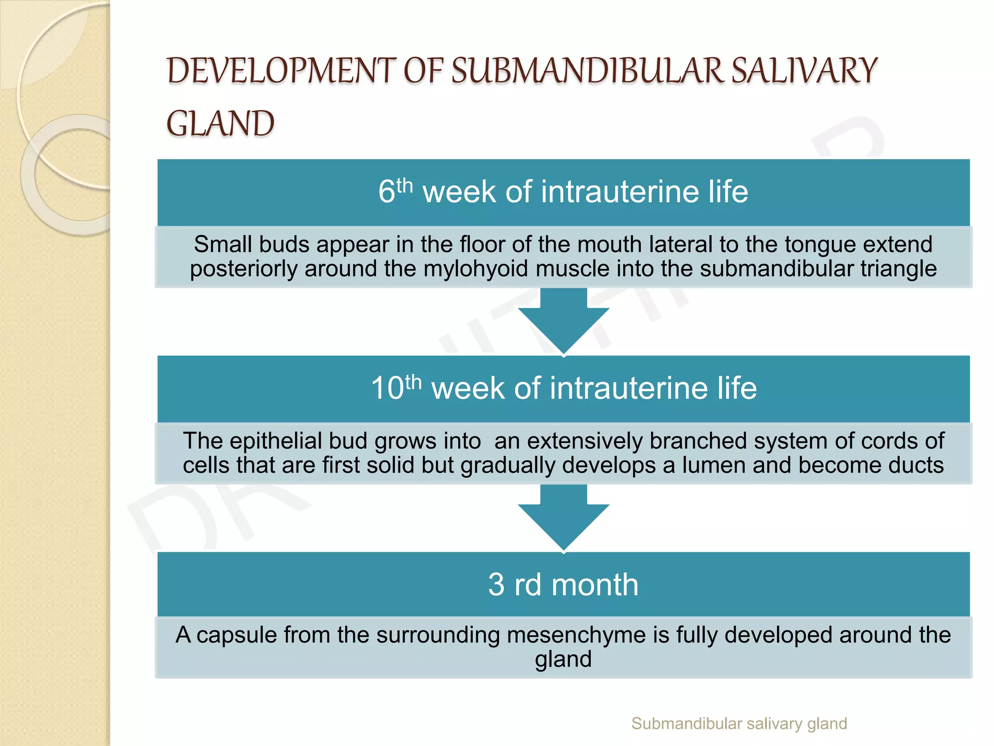 Submandibular salivary gland dr chithra | PPT