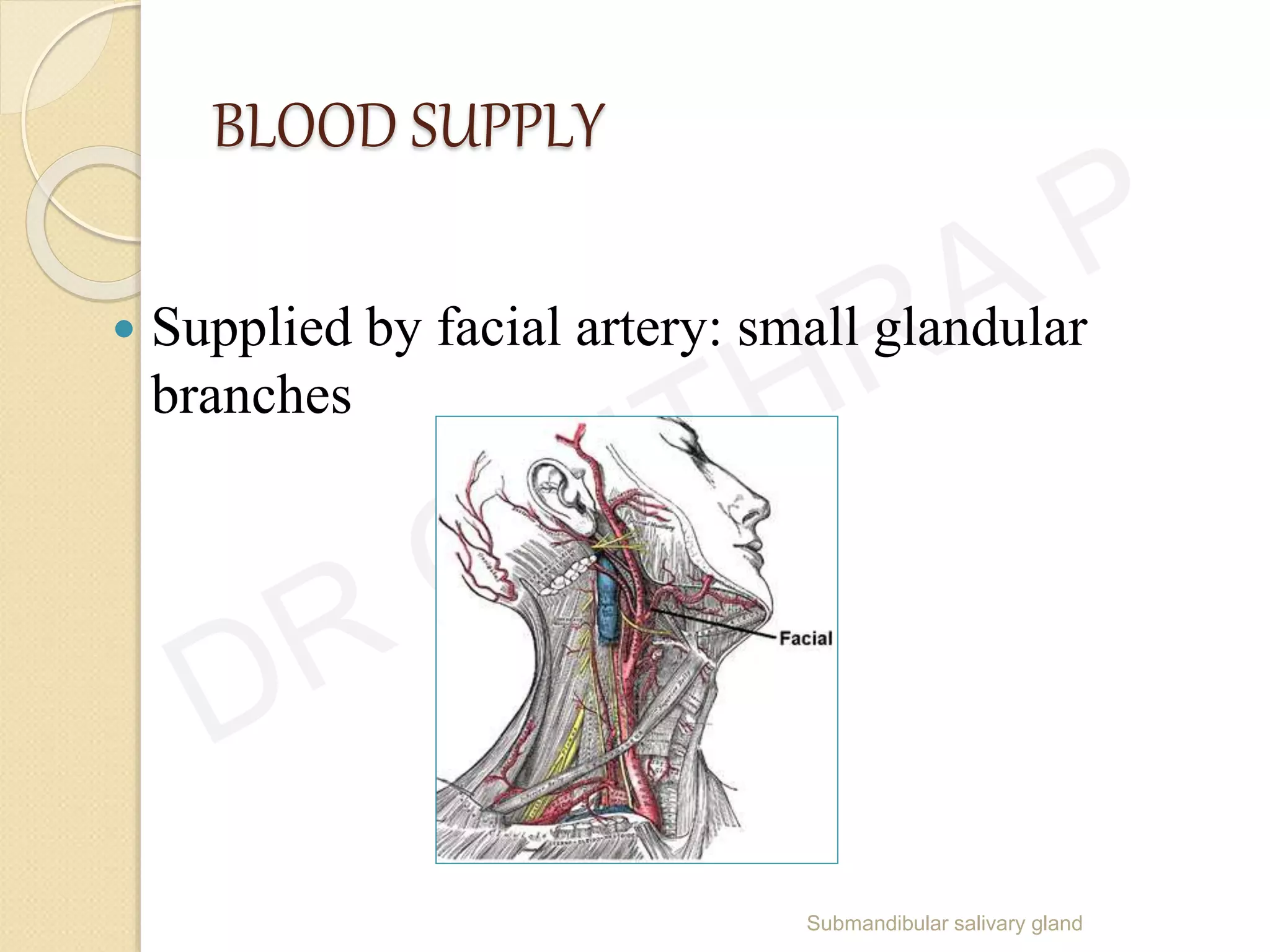 Submandibular salivary gland dr chithra | PPT