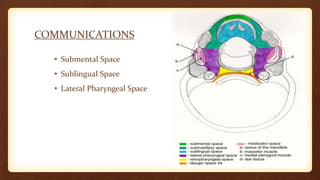 Submandibular space infection | PPTX