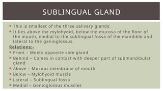 Submandibular & Sublingual glands mbbs anatomy | PPTX