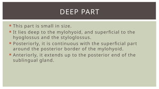 Submandibular & Sublingual glands mbbs anatomy | PPTX