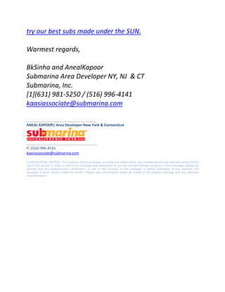 Submarina Ebrochure | PDF