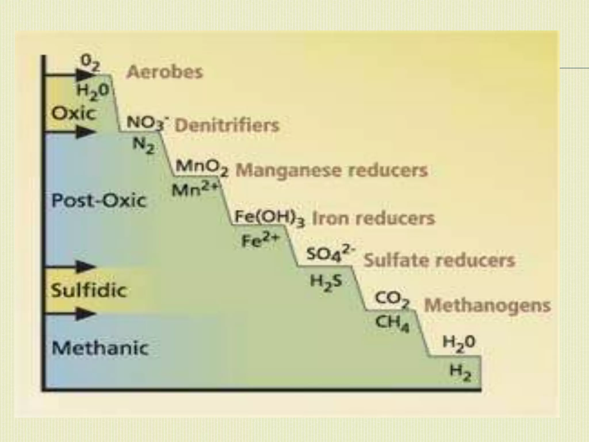 Chemistry and physics of submerged soil | PPTX | Science