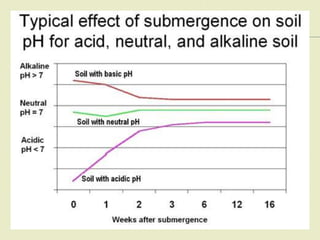 Chemistry and physics of submerged soil | PPTX